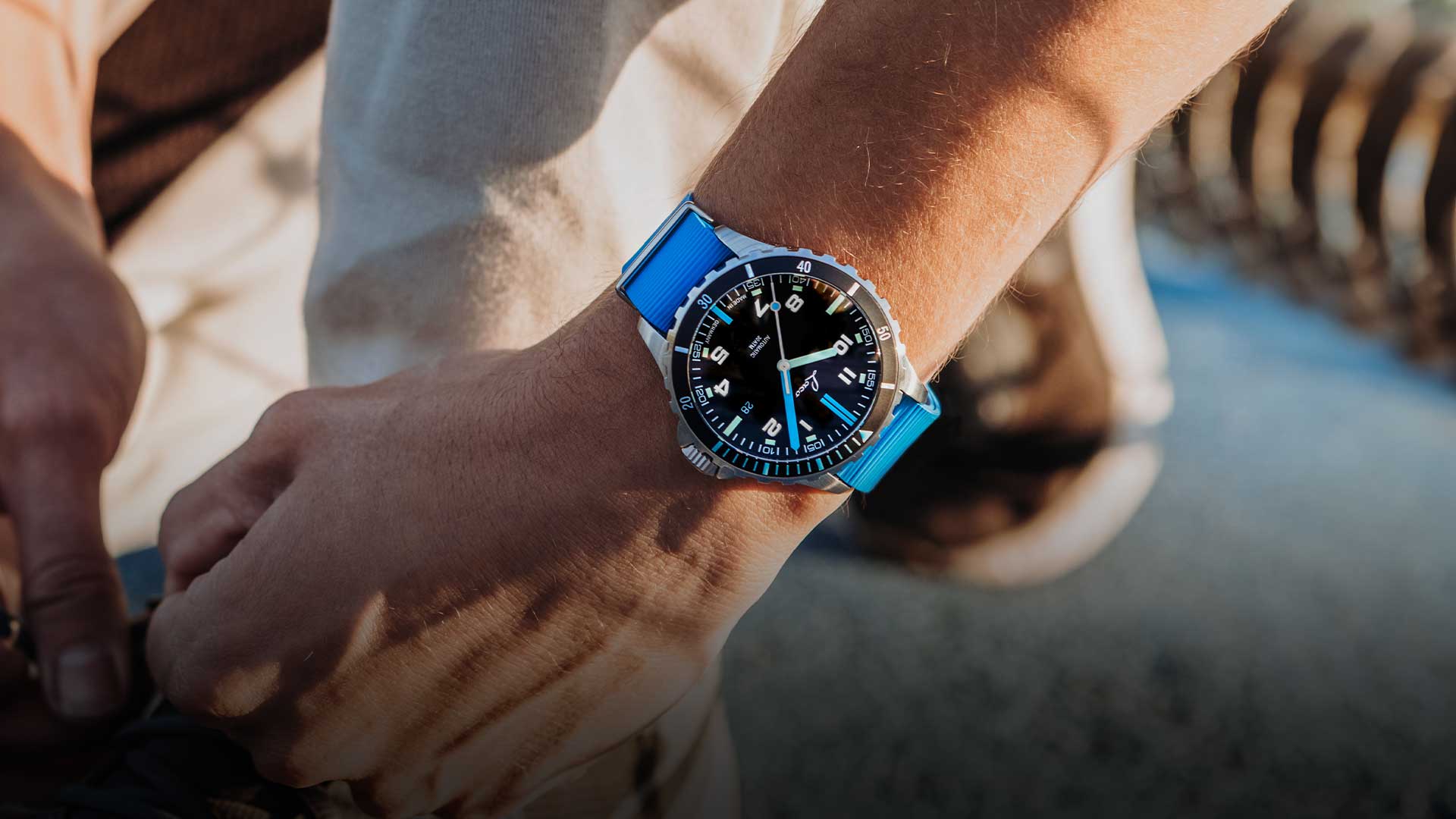 Simple German Divers Under $1200 used | WatchUSeek Watch Forums